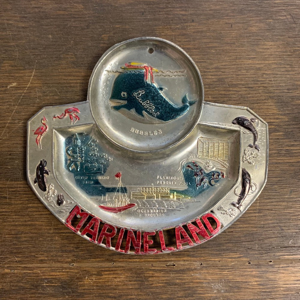 Vintage Souvenir State Ashtrays – Pygmy Hippo Shoppe