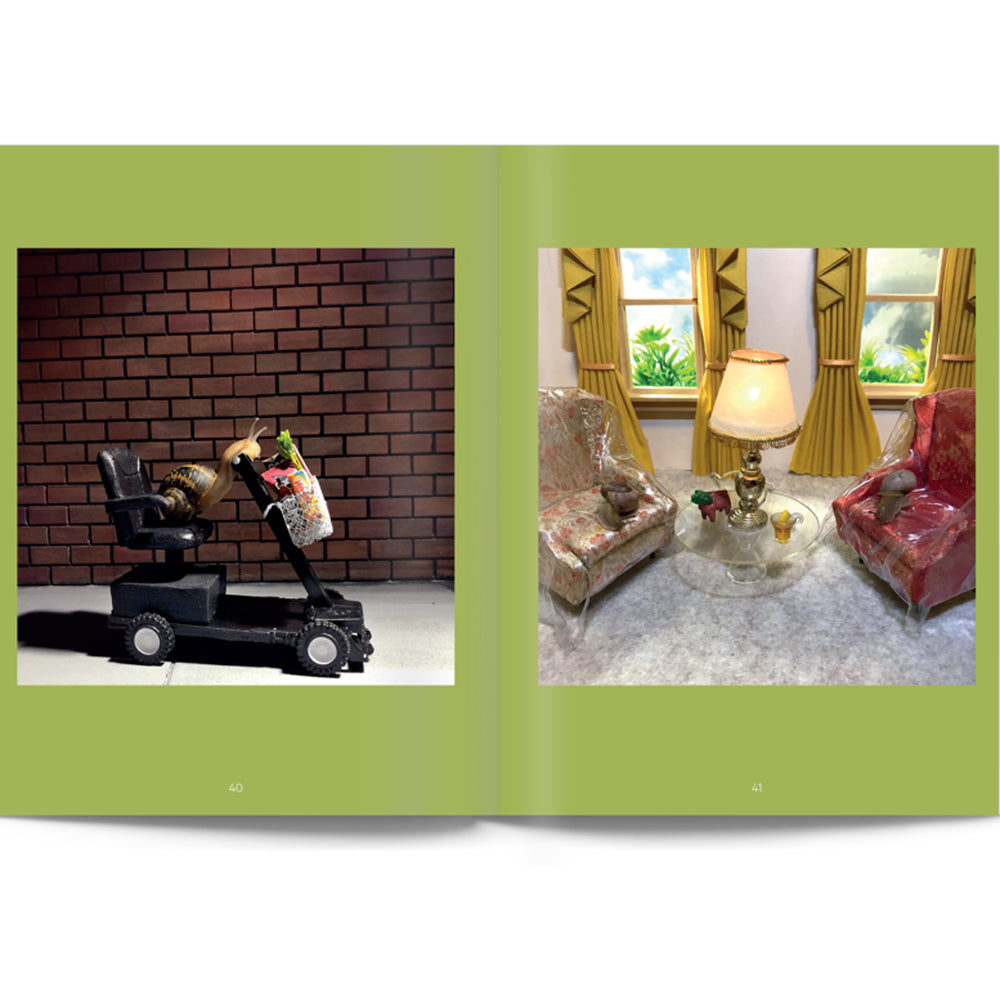 Snail World | Pygmy Hippo Shoppe