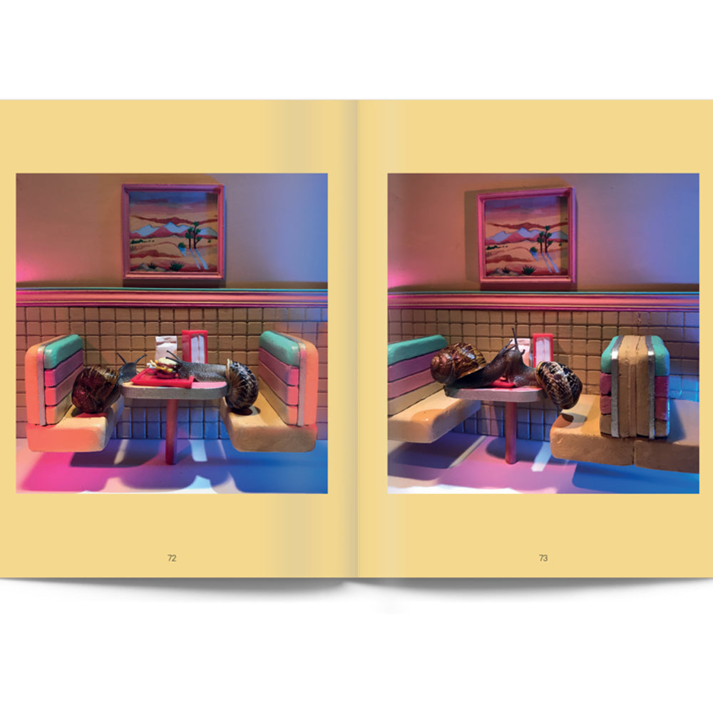 Snail World | Pygmy Hippo Shoppe